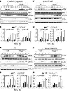 NLRP6 negatively regulates innate immunity and host defence against ...