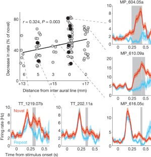 A map of visual space in the primate entorhinal cortex | Nature