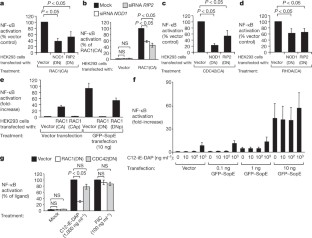 Manipulation of small Rho GTPases is a pathogen-induced process ...