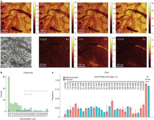 Recalibrating Equus evolution using the genome sequence of an early ...