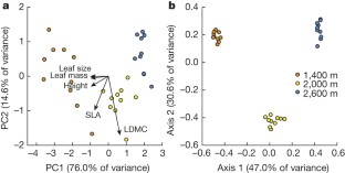 Novel competitors shape species’ responses to climate change | Nature