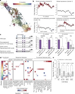 Transcriptional regulators form diverse groups with context-dependent ...