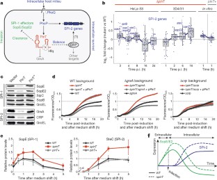 Dual RNA-seq unveils noncoding RNA functions in host–pathogen interactions | Nature
