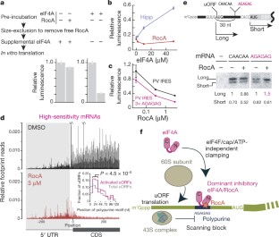 Rocaglates convert DEAD-box protein eIF4A into a sequence-selective ...