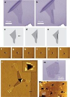Self-assembly of graphene ribbons by spontaneous self-tearing and ...