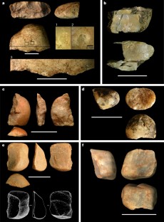 Wild monkeys flake stone tools | Nature