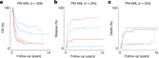 A 17-gene stemness score for rapid determination of risk in acute ...
