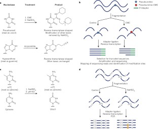 Chemical and structural effects of base modifications in messenger RNA ...