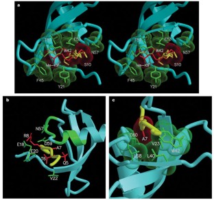 Structure of the HP1 chromodomain bound to histone H3 methylated at ...