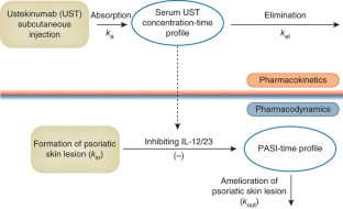 Therapeutic targeting of the IL-12/23 pathways: generation and ...