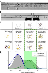 Single-cell ChIP-seq reveals cell subpopulations defined by chromatin ...