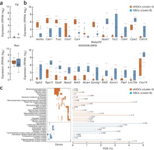 Electrophysiological, transcriptomic and morphologic profiling of ...
