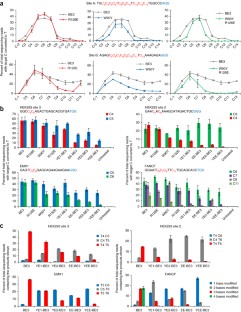 Increasing the genome-targeting scope and precision of base editing ...