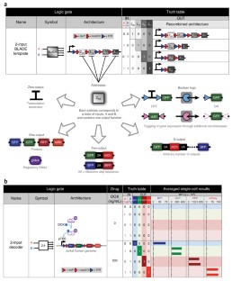 Large-scale design of robust genetic circuits with multiple inputs and ...
