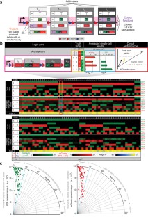 Large-scale design of robust genetic circuits with multiple inputs and outputs for mammalian ...