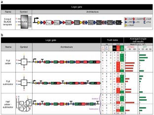 Large-scale design of robust genetic circuits with multiple inputs and outputs for mammalian ...