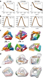 Design of coiled-coil protein-origami cages that self-assemble in vitro ...