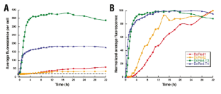 Rapidly maturing variants of the Discosoma red fluorescent protein ...