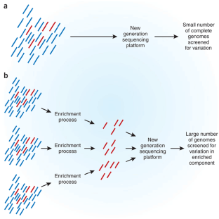 Genome resequencing and genetic variation | Nature Biotechnology