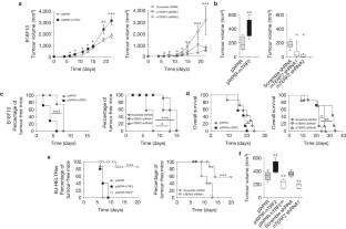 TRF2 inhibits a cell-extrinsic pathway through which natural killer ...