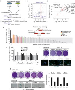 A complex secretory program orchestrated by the inflammasome controls ...