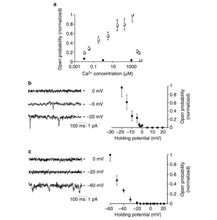 Polycystin-2 is an intracellular calcium release channel | Nature Cell ...