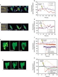 Regulation of calcium signals in the nucleus by a nucleoplasmic ...
