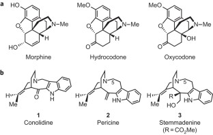 Synthesis of conolidine, a potent non-opioid analgesic for tonic and ...