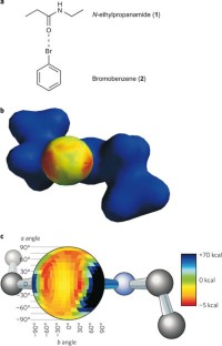 Halogen bonds as orthogonal molecular interactions to hydrogen bonds ...