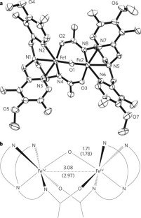 A diiron( iv ) complex that cleaves strong C–H and O–H bonds | Nature ...
