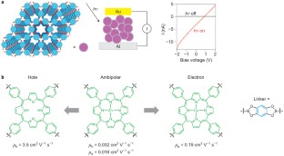 Rationally synthesized two-dimensional polymers | Nature Chemistry