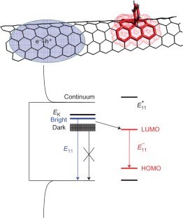 Brightening of carbon nanotube photoluminescence through the ...