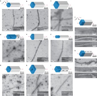 DNA brick crystals with prescribed depths | Nature Chemistry