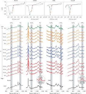 The role of LiO 2 solubility in O 2 reduction in aprotic solvents and ...