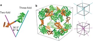 Structure of a designed protein cage that self-assembles into a highly ...