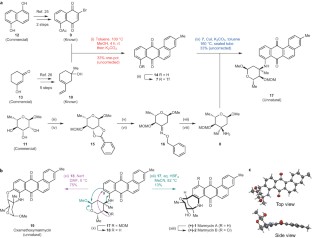 Synthesis of marmycin A and investigation into its cellular activity ...
