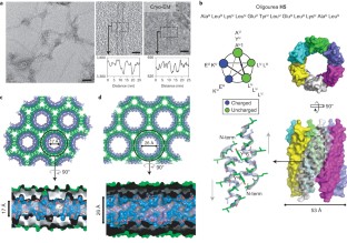 Shaping quaternary assemblies of water-soluble non-peptide helical ...