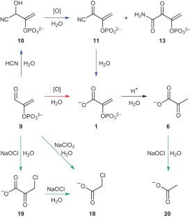Prebiotic synthesis of phosphoenol pyruvate by α-phosphorylation ...