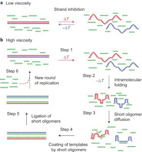 A viscous solvent enables information transfer from gene-length nucleic ...