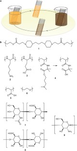 Materials and methods for delivery of biological drugs | Nature Chemistry