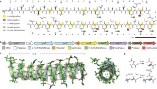 Seven enzymes create extraordinary molecular complexity in an ...