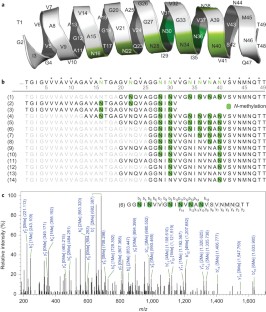 Seven enzymes create extraordinary molecular complexity in an ...