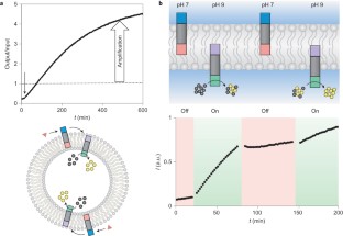Controlled membrane translocation provides a mechanism for signal ...