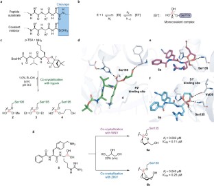 The versatility of boron in biological target engagement | Nature Chemistry