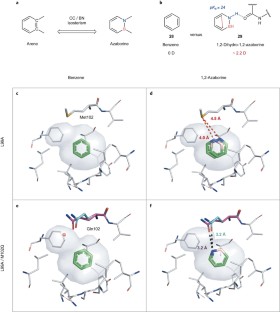 The versatility of boron in biological target engagement | Nature Chemistry