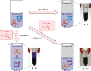 Signal transduction in a covalent post-assembly modification cascade ...