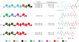 De novo design and engineering of non-ribosomal peptide synthetases ...