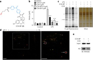 A small molecule binding HMGB1 and HMGB2 inhibits microglia-mediated ...