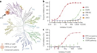 Prolonged and tunable residence time using reversible covalent kinase ...