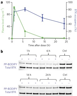 Prolonged and tunable residence time using reversible covalent kinase ...